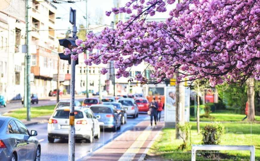Proljeće kuca na vrata: Meteorolog Krajinović najavio kakvo će vrijeme ...