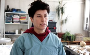 Dragana Vučetić iz Srbije identifikuje žrtve genocida u Srebrenici: 'Iza svake kosti bio je čovjek'