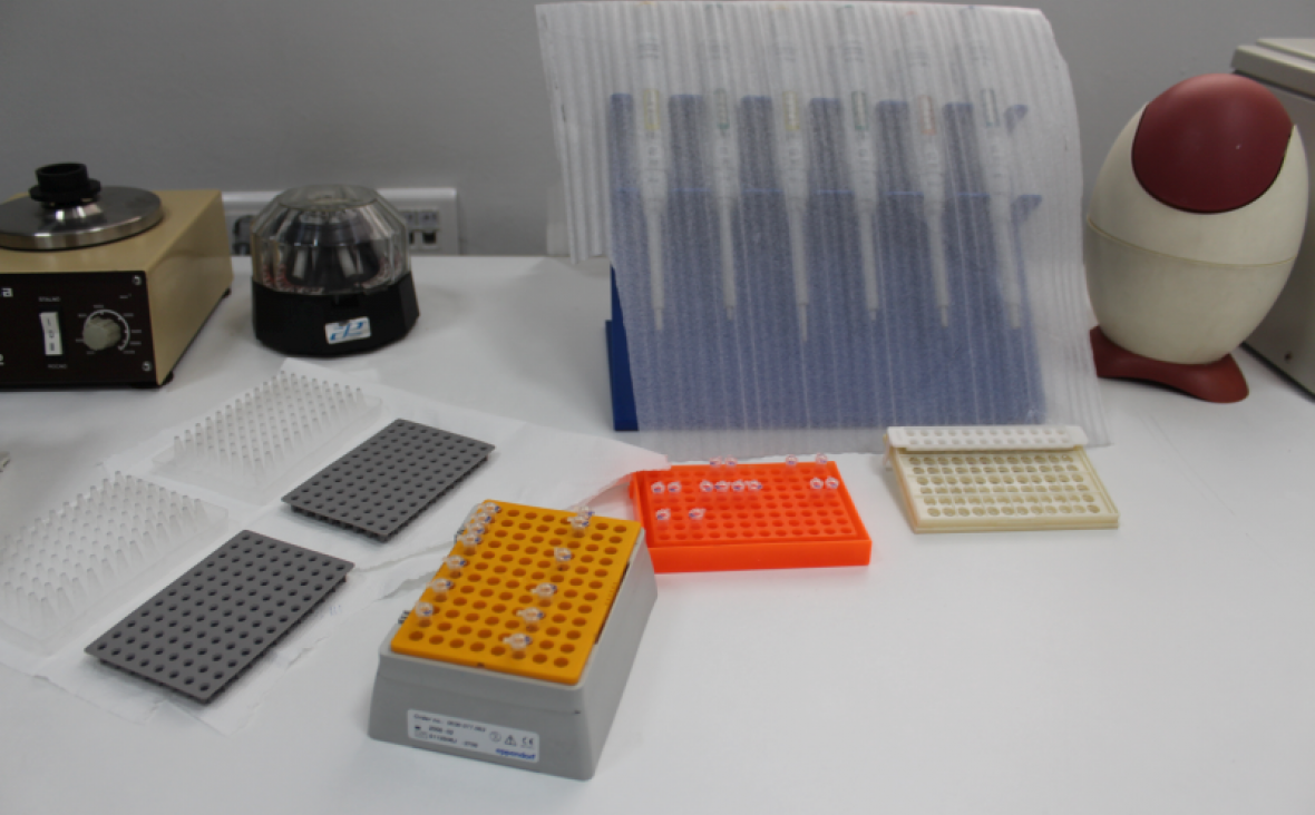 U posjeti Institutu za genetičko inženjerstvo i biotehnologiju: Kako se ...