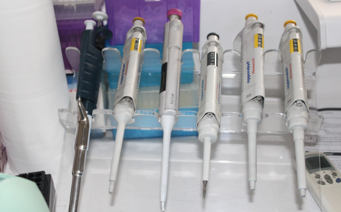 U posjeti Institutu za genetičko inženjerstvo i biotehnologiju: Kako se ...