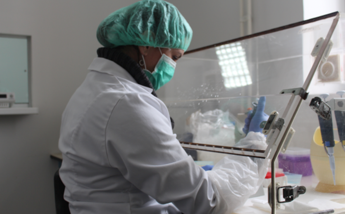 U posjeti Institutu za genetičko inženjerstvo i biotehnologiju: Kako se ...