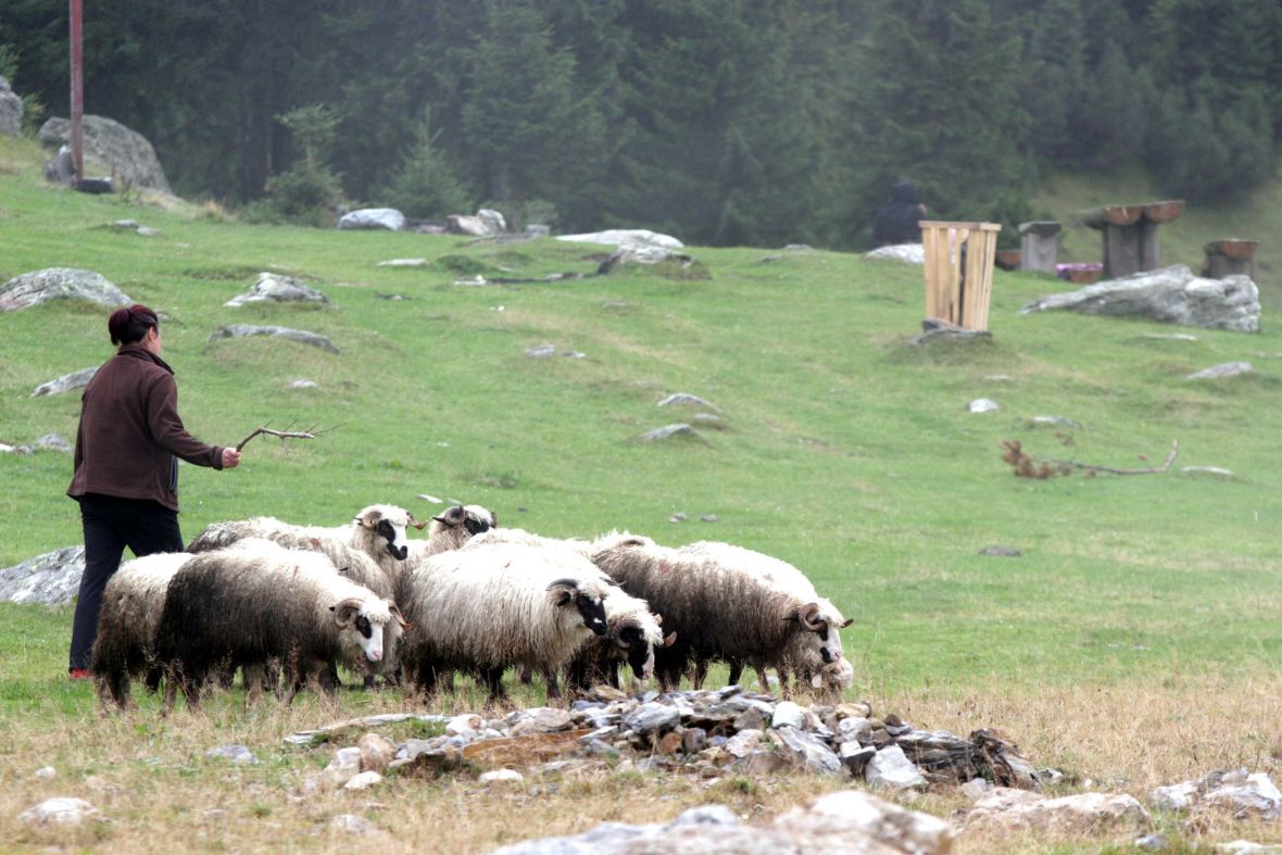 Planinski biser /Prokoško jezero ove godine posjetilo 15.000 turista ...