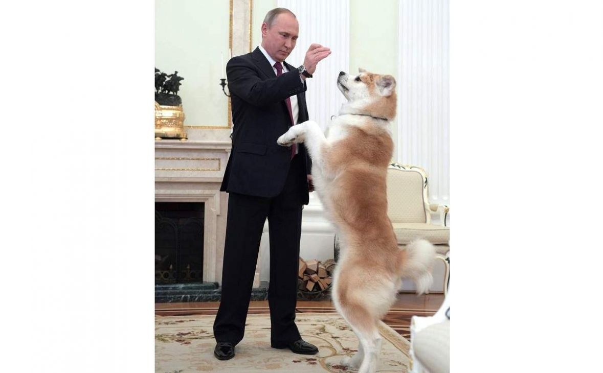 Rusija /Putin japanskim novinarima pokazao psa kojeg mu je poklonio ...