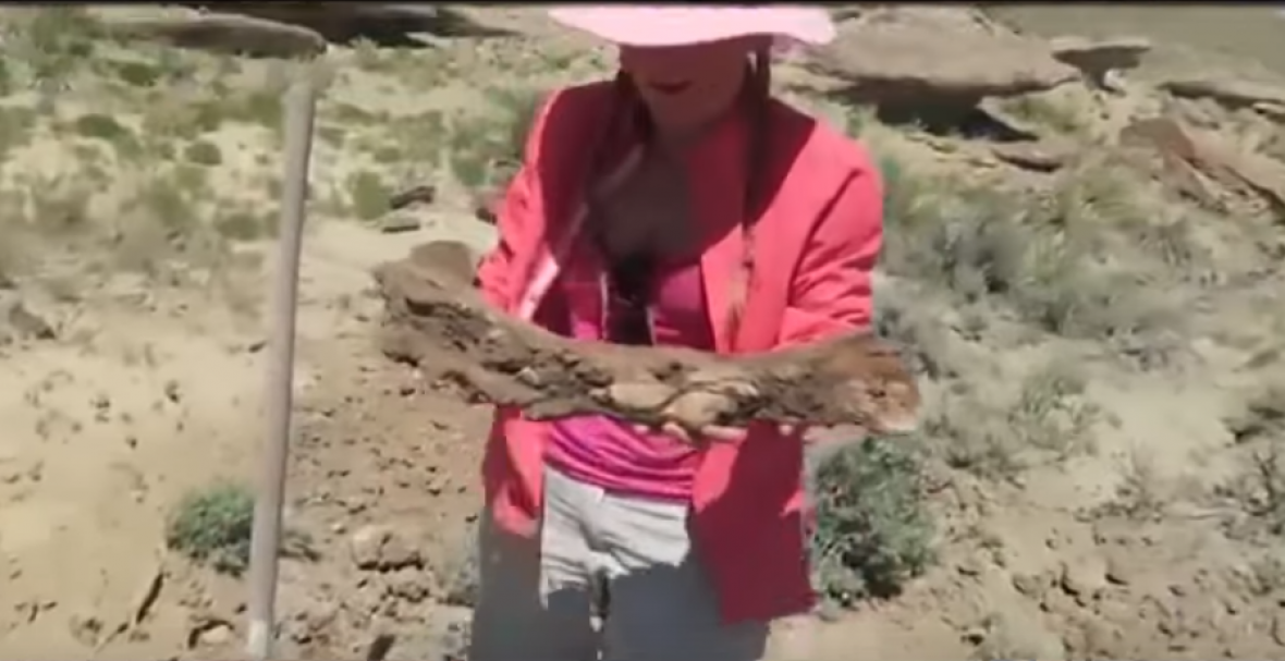 Pustinja Gobi /Otkrivene kosti ogromnog predatora starog 70 miliona ...