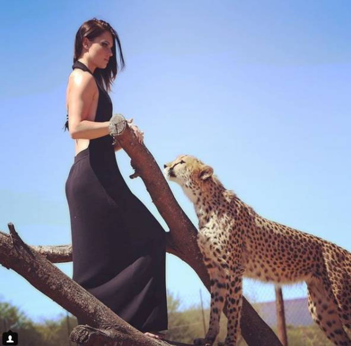 Pyeongchang /Kraljice zimskih sportova: Anna Veith želi nove medalje u ...