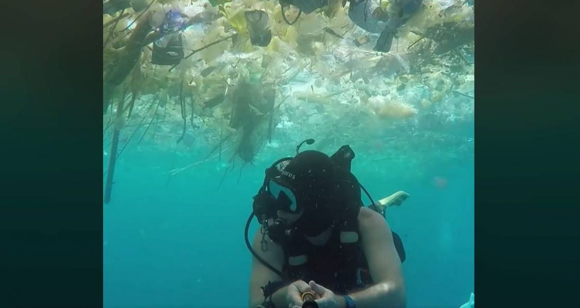 Pacifik /Britanski ronioci snimili tužne kadrove: Okeani i mora se guše ...