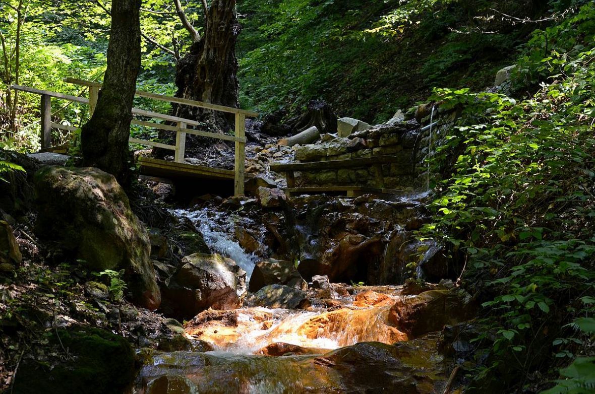 Banja /Ljekovite vode Gubera: Neiskorišteni potencijal Srebrenice ...