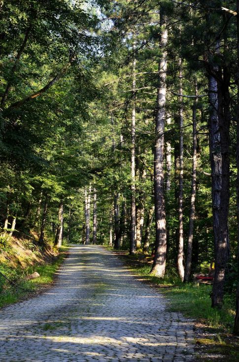 Banja /Ljekovite vode Gubera: Neiskorišteni potencijal Srebrenice ...