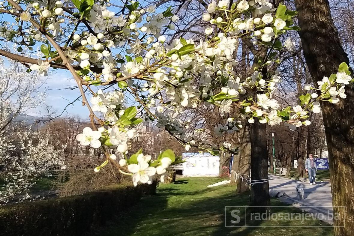 Okom kamere /Zamirisao prvi behar u Sarajevu / Radio Sarajevo