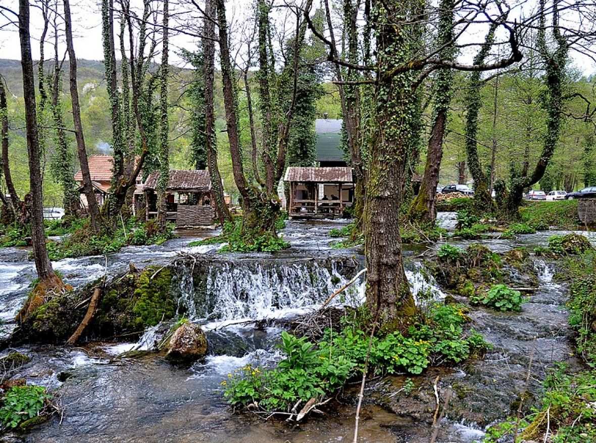 BiH /Prvi korak u procesu nominacije prašume Janj na UNESCO-ovu listu ...