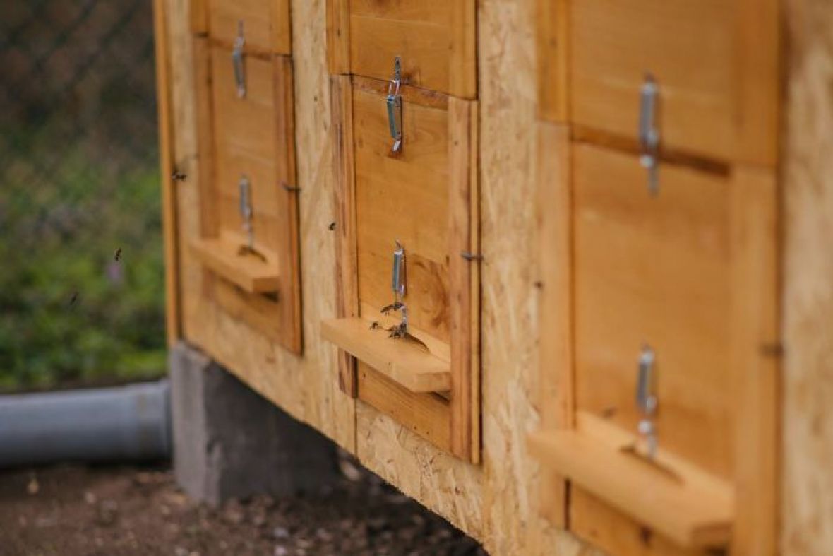 Besplatni tretmani /Mladi Tuzlak otvorio prvu Api komoru u ...