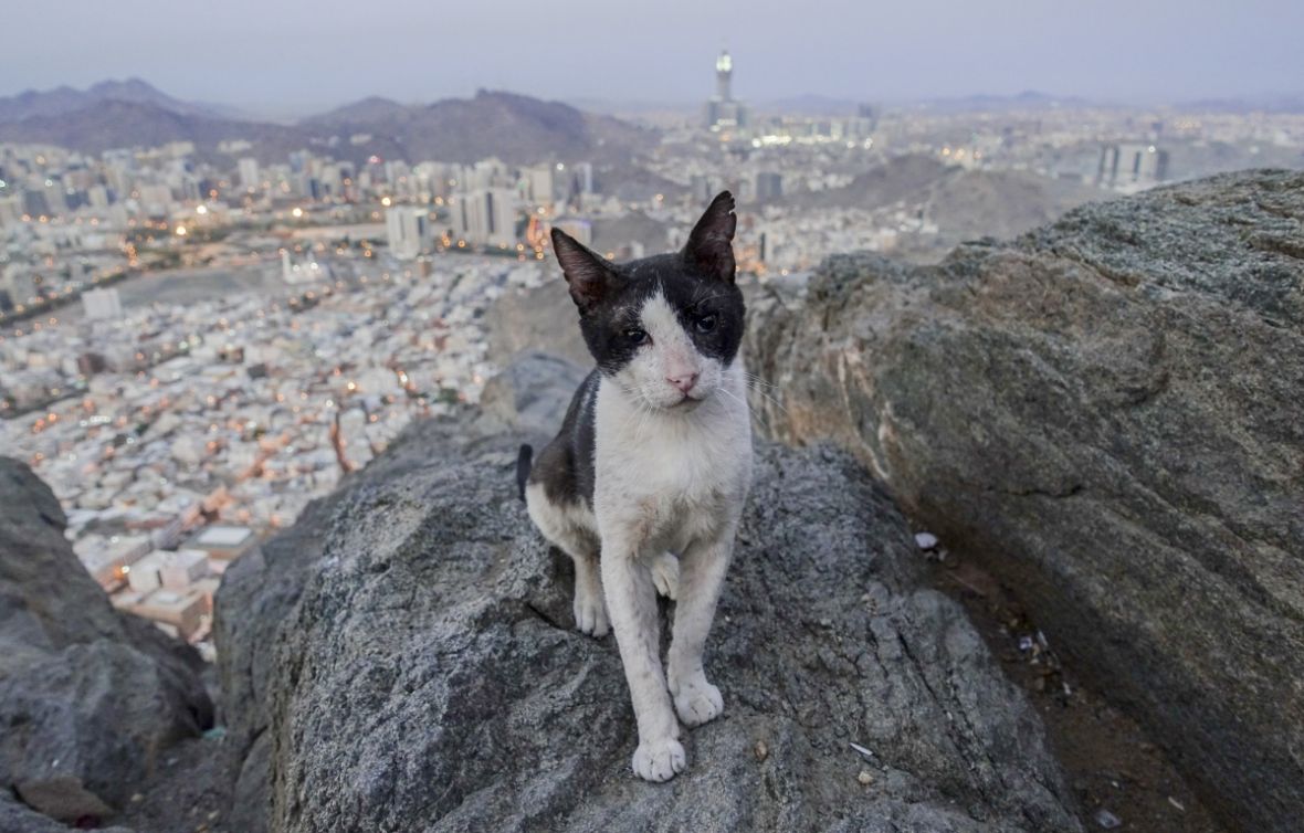 Mekka /Pećina Hira, mjesto gdje je poslanik Muhammedu primio prvu ...