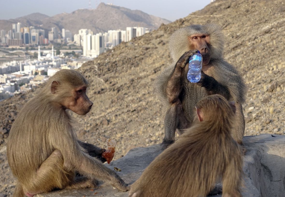 Mekka /Pećina Hira, mjesto gdje je poslanik Muhammedu primio prvu ...