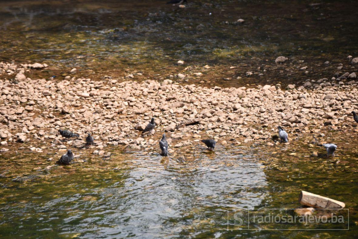 Foto /Park At Mejdan još ljepši: Istaknut grb Grada Sarajeva / Radio ...