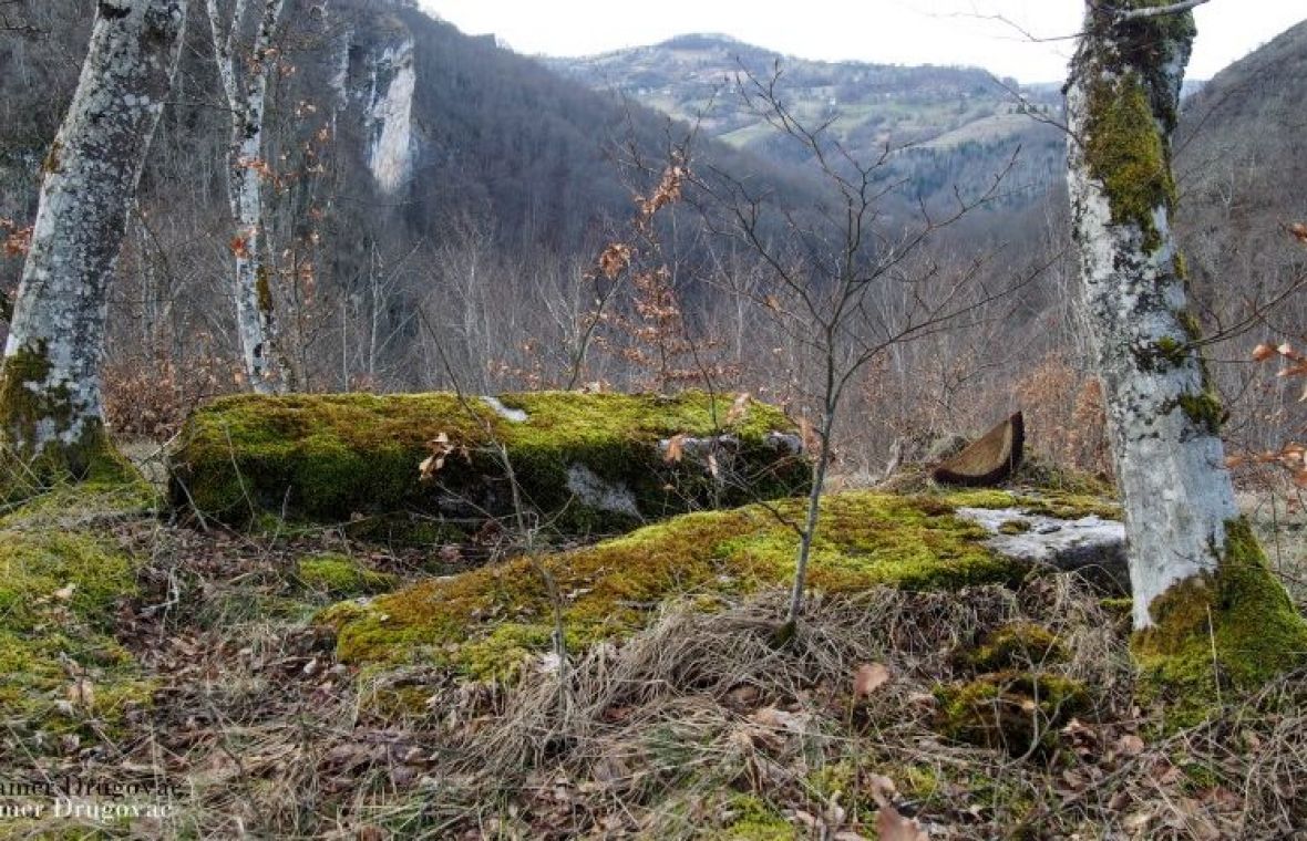 BiH /Pavlovac kod Prače potpuno zaboravljen: Preko nekropole stećaka ...