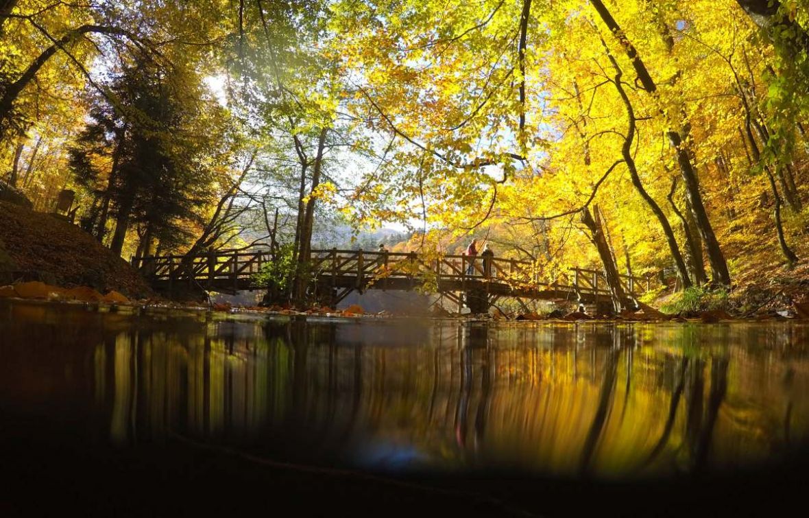 Fotogalerija /Tek u jesen otkriju se boje krošanja: Živopisna priroda ...