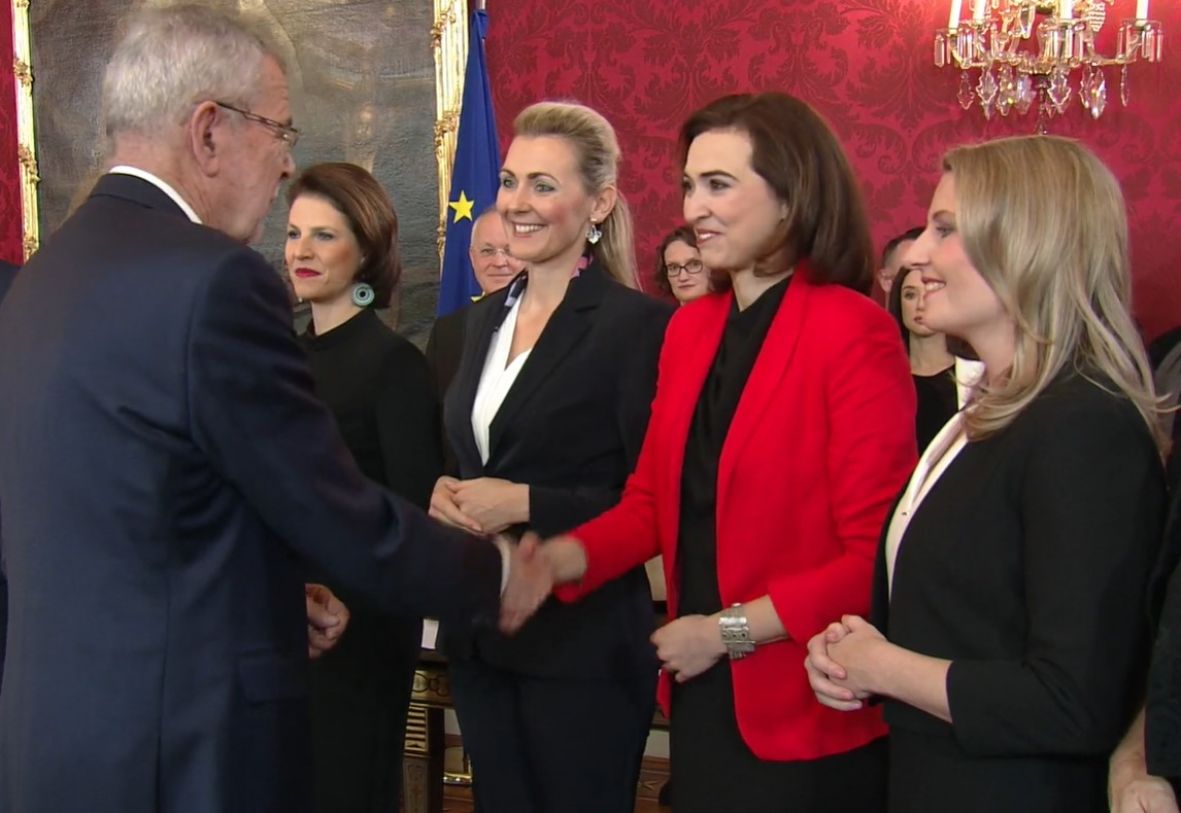 ! /Pogledajte kako je Alma Zadić zablistala na polaganju zakletve u ...