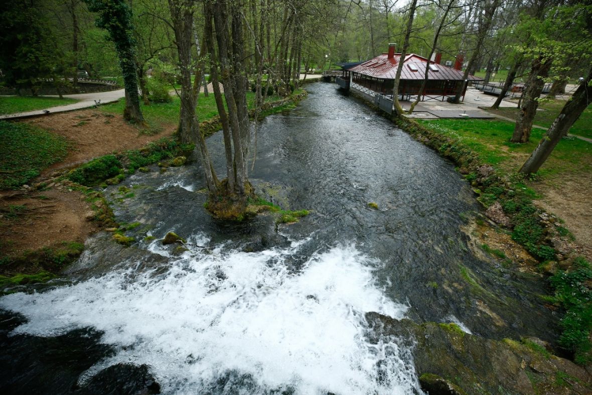 Park prirode /Vrelo Bosne u doba pandemije: Labudovi uživaju u bistroj ...