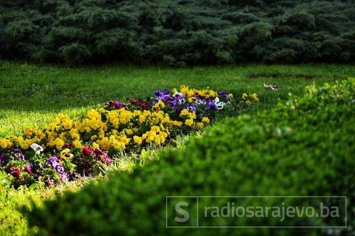 "Da nismo imali zime - proljeće ne bi prijalo": Pogledajte raskošni ...